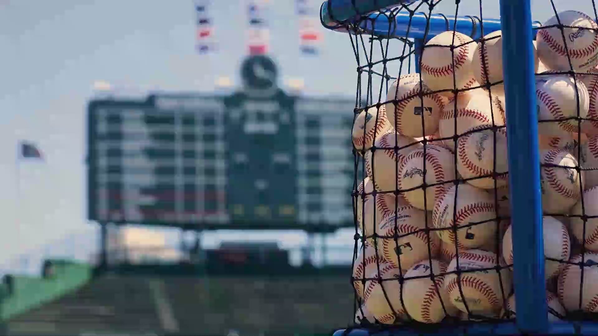 STRAUSS X MLB | Strauss